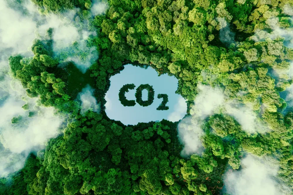 Unveiling the Truth: Do Air Purifiers Remove CO2 in 2026?