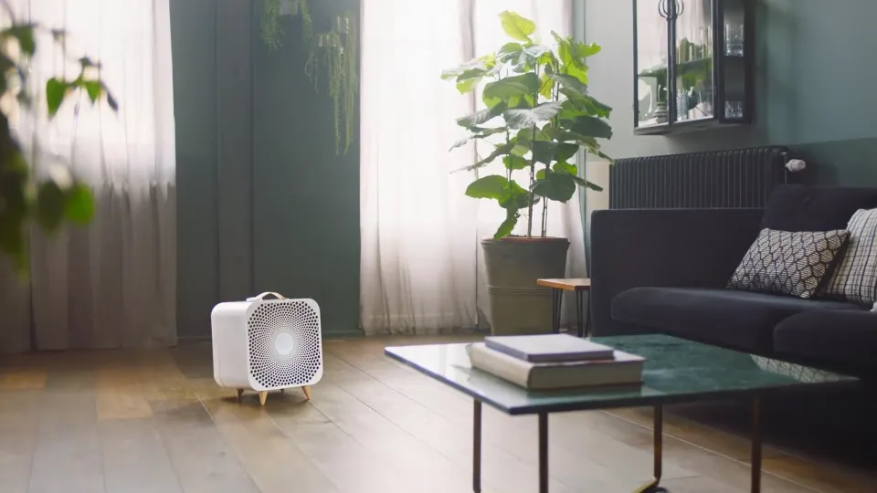 Top 2026 Guide: Air Purifier and Fan Combo for Superior Indoor Air Quality